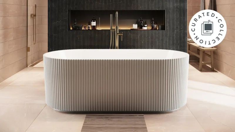 Curated Collection: Dark Academia | Drench